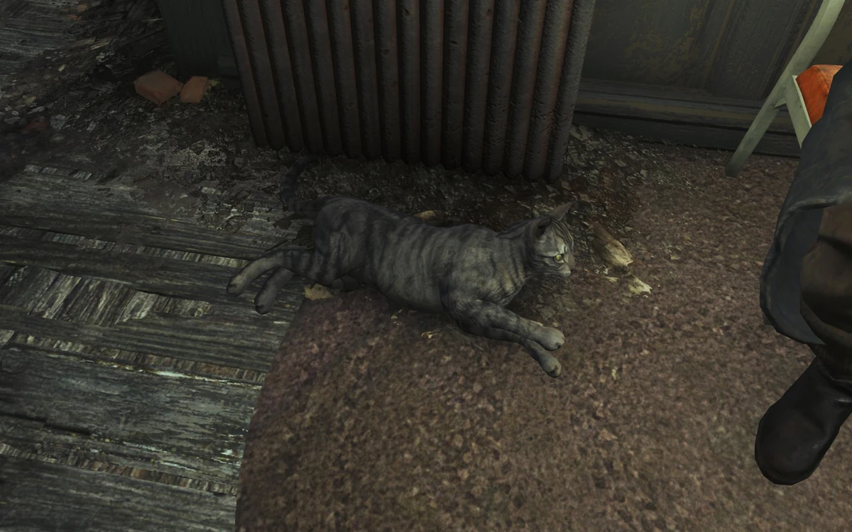 Tink | Fallout Wiki | Fandom