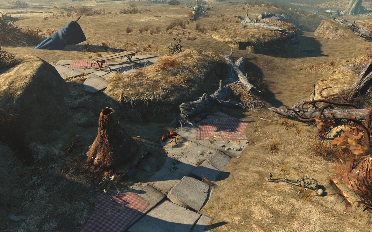 Picnic and campsite | Fallout Wiki | Fandom