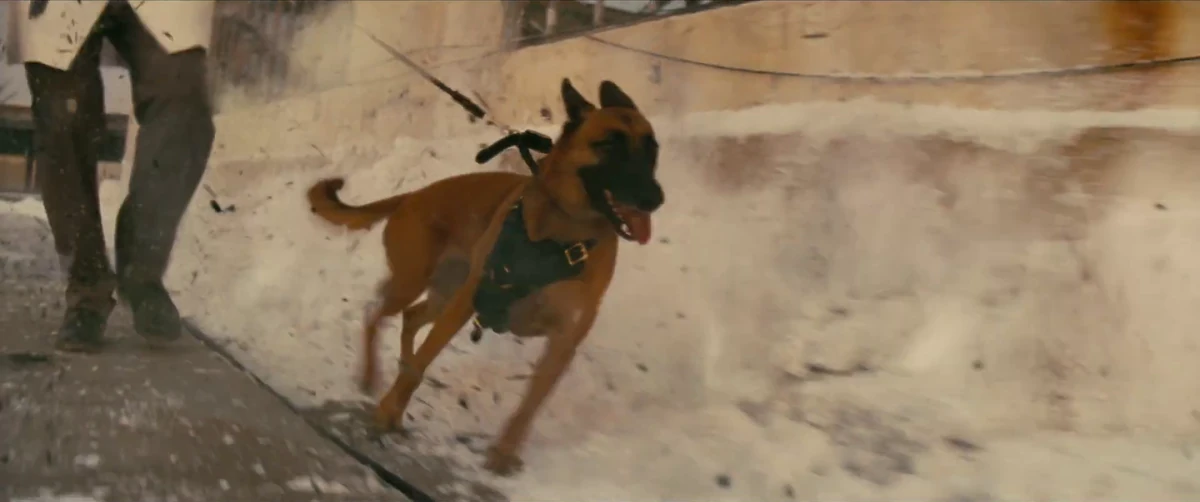 CX404 | Убежище | Fandom