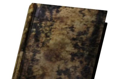 Beatrix Russell Quotes