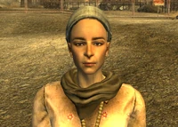 Traveler | Fallout Wiki | Fandom