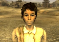 Traveler | Fallout Wiki | Fandom