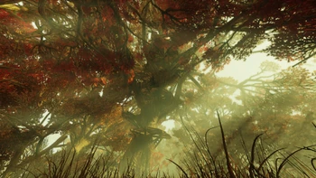 Treetops | Fallout Wiki | Fandom