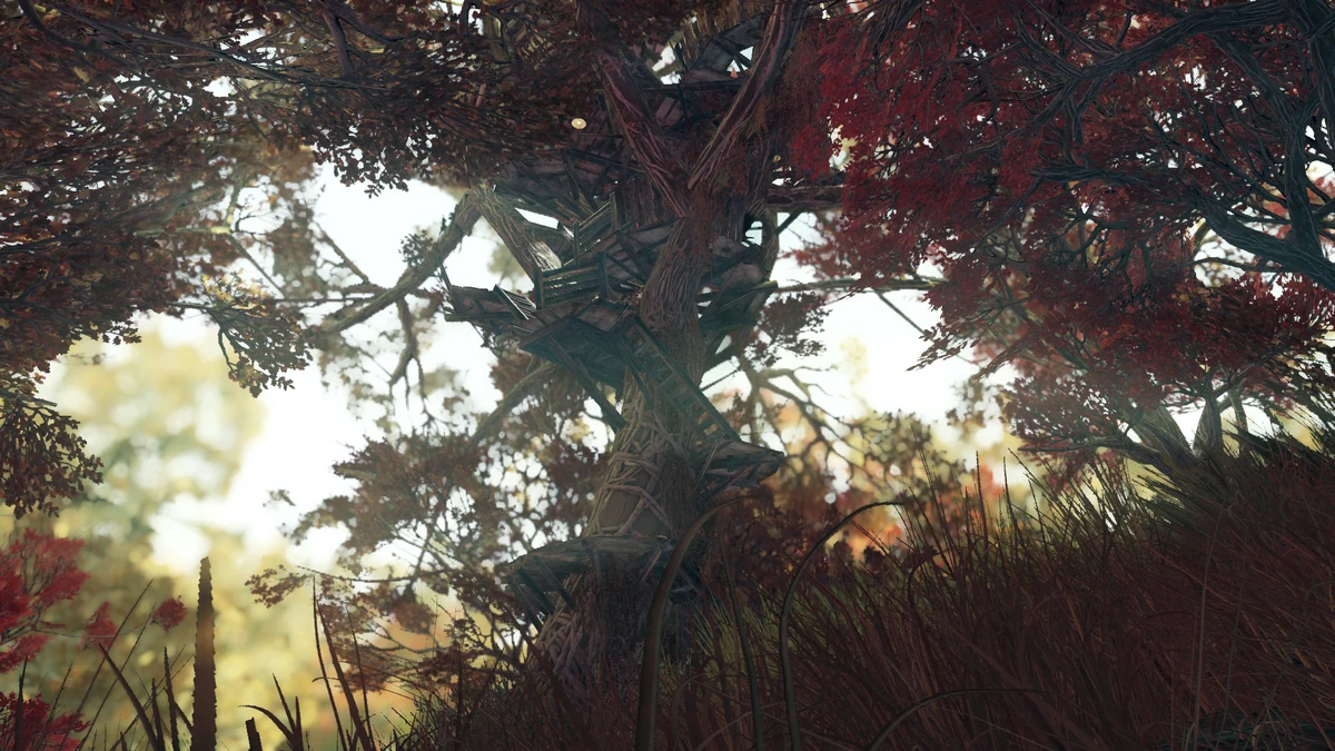 Будиночок на гілках дерева | Вікі Fallout | Fandom