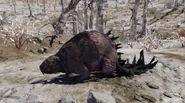 Beaver | Fallout Wiki | Fandom