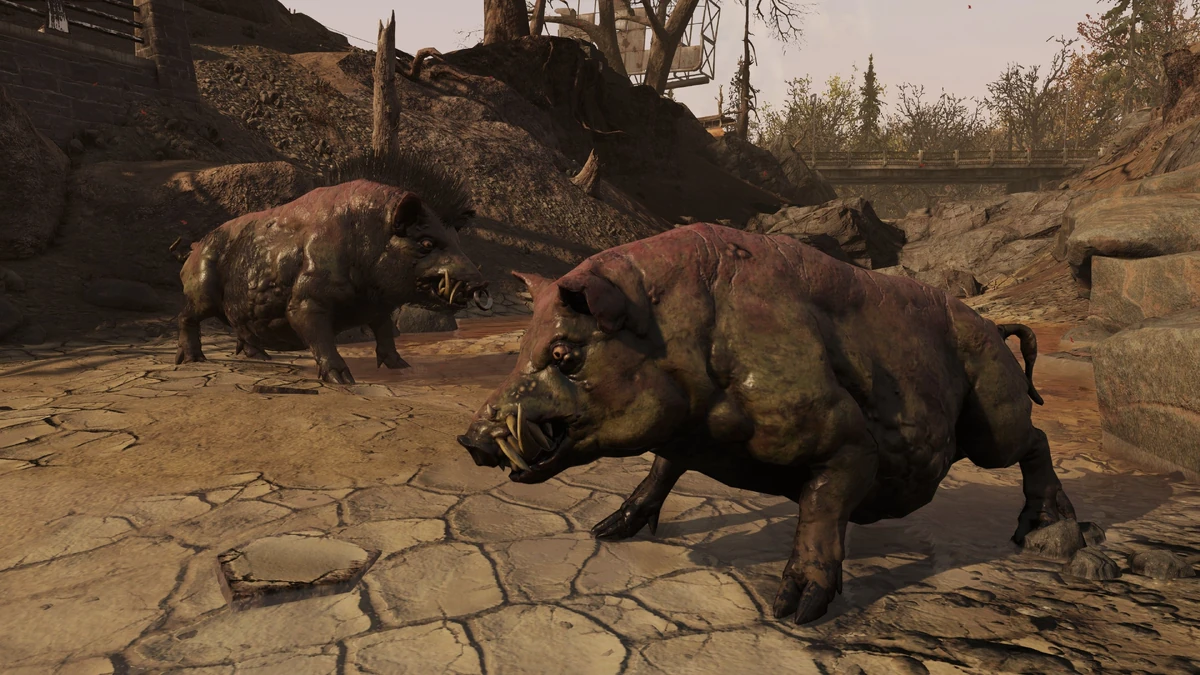 Radhog (Fallout 76) | Fallout Wiki | Fandom