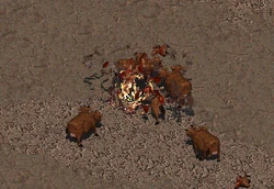 Brahmin Fallout 2
