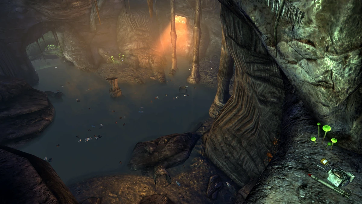 Damp cave | Fallout Wiki | Fandom