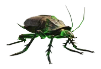 Radroach | Fallout Wiki | Fandom