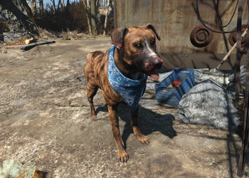 Teddy | Fallout Wiki | Fandom