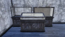 Display case (Fallout 76) | Fallout Wiki | Fandom