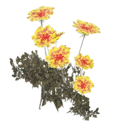 Carrot plant (Fallout 76) | Fallout Wiki | Fandom