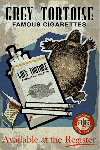 Grey Tortoise | Убежище | Fandom