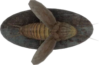 Radroach (Fallout 4) | Fallout Wiki | Fandom