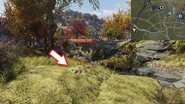 Forest treasure maps | Fallout Wiki | Fandom