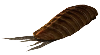Radroach meat (Fallout: New Vegas) | Fallout Wiki | Fandom