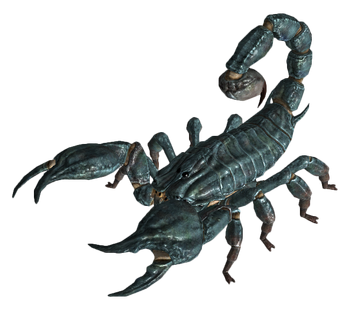 Radscorpion (Fallout 3) | Fallout Wiki | Fandom