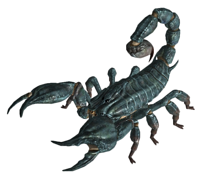 Radskorpion | Krypta | Fandom