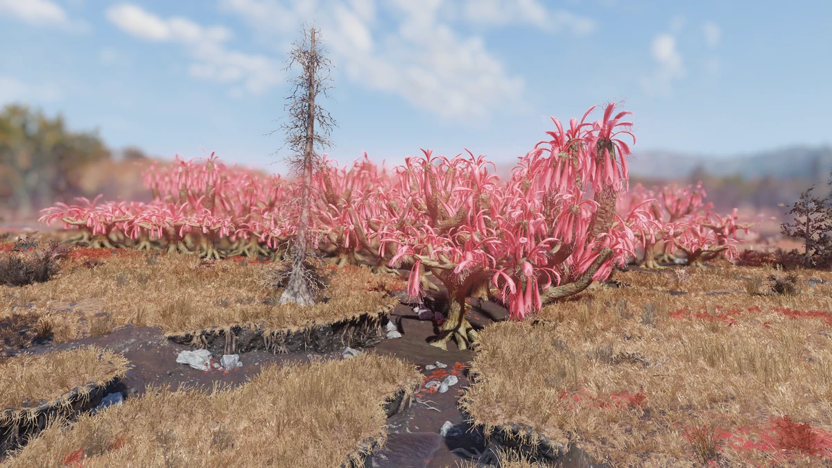 Гай росичок у струмка | Вікі Fallout | Fandom