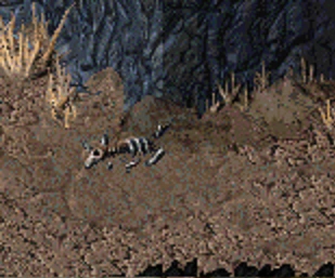 Horned kangaroo | Fallout Wiki | Fandom