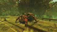 Hermit crab (Fallout 76) | Fallout Wiki | Fandom
