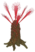 Overgrown sundew grove | Fallout Wiki | Fandom