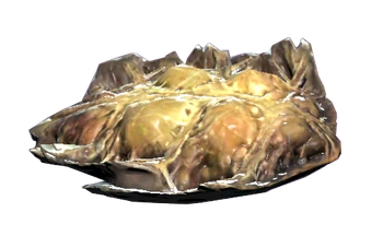 Radroach meat (Fallout 76) | Fallout Wiki | Fandom