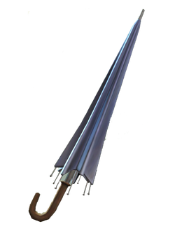 Umbrella (Fallout 76) | Fallout Wiki | Fandom Umbrella (Fallout 76) | Fallout Wiki | Fandom