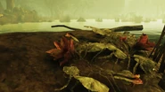 Gourd blossom (Fallout 76) | Fallout Wiki | Fandom
