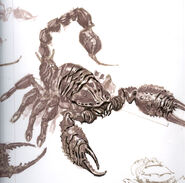 Radscorpion (Fallout: New Vegas) | Fallout Wiki | Fandom