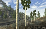 Tree | Fallout Wiki | Fandom