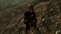 Feral ghoul (Fallout 3) | Fallout Wiki | Fandom