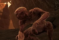 Trog | Fallout Wiki | Fandom