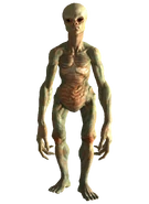 Zetan | Fallout Wiki | Fandom