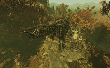Moth-Home | Fallout Wiki | Fandom
