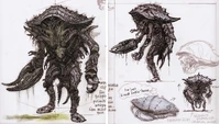Mirelurk (Fallout 3) | Fallout Wiki | Fandom