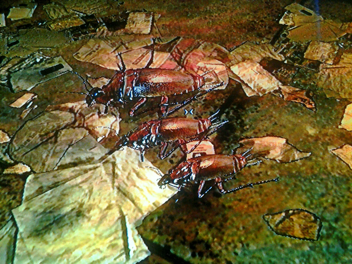 Talk:Vault 108 | Fallout Wiki | Fandom