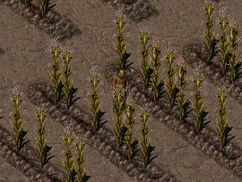 Curtis (Fallout) | L'Abri | Fandom