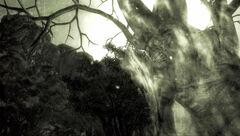 Harold | Fallout Wiki | Fandom