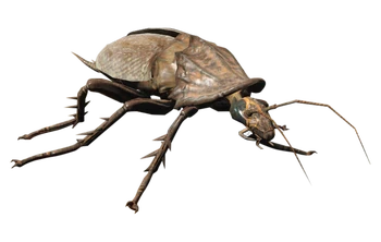 Radroach (Fallout 4) | Fallout Wiki | Fandom