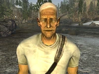 Henry | Fallout Wiki | Fandom