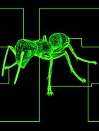 Aimed Shot | Fallout Wiki | Fandom