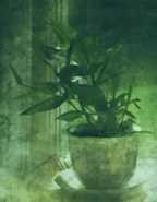 Painting (Fallout 76) | Fallout Wiki | Fandom