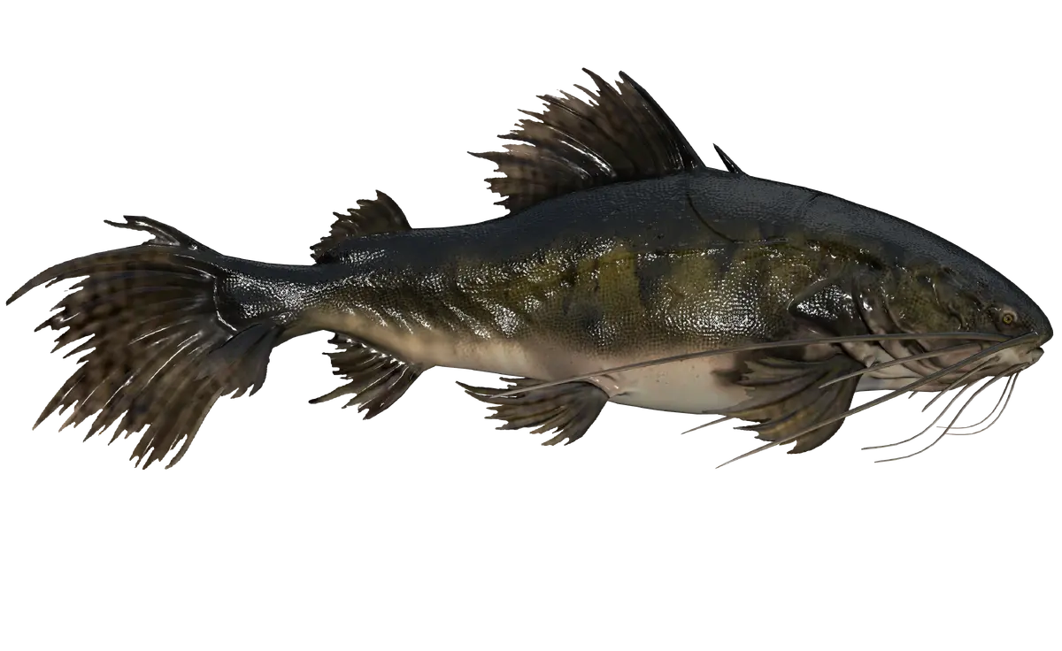 Bloodwhisker | Fallout Wiki | Fandom