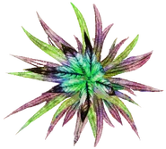 Thistle (Fallout 76) | Fallout Wiki | Fandom