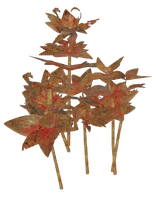 Firecracker berry | Fallout Wiki | Fandom