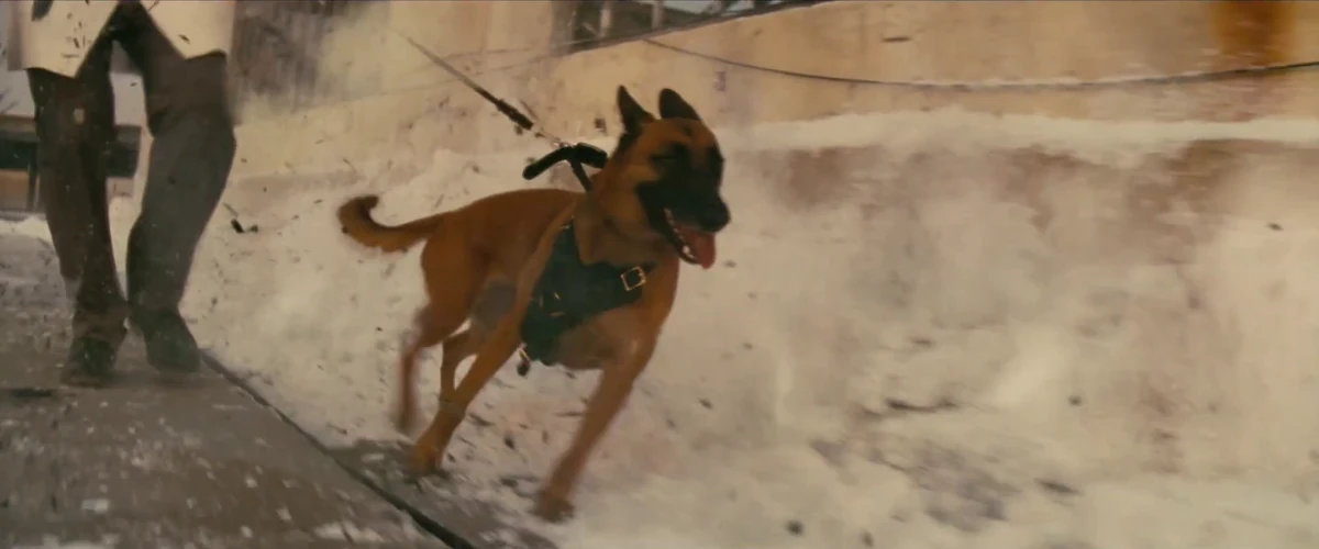 CX404 | Fallout Wiki | Fandom