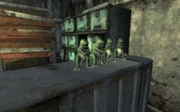 Dinky the T-Rex souvenir | Fallout Wiki | Fandom