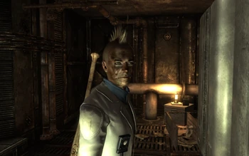 Survivor (Fallout 3) | Fallout Wiki | Fandom