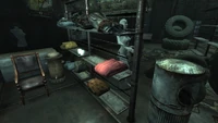 Sexy sleepwear (Fallout 3) | Fallout Wiki | Fandom